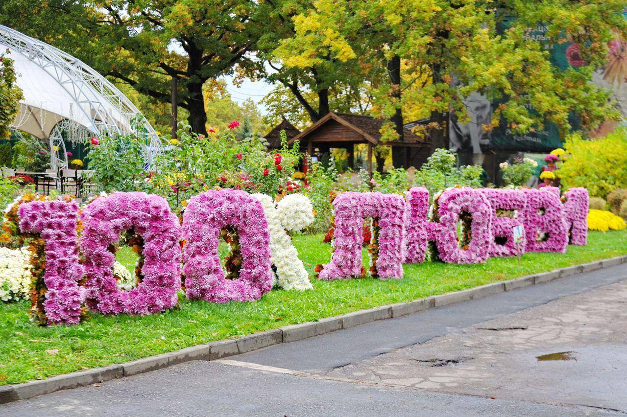 Харківський екопарк не переїде до іншого міста — офіційна заява - NewsRoom
